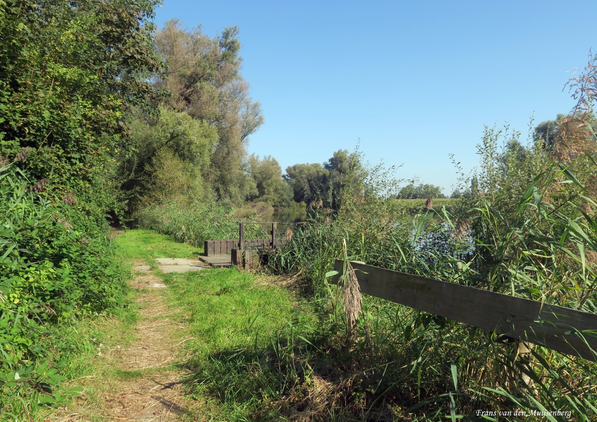 061 – SPEEL- EN OOGSTBOS LOBITH 1 | MUIZENEST